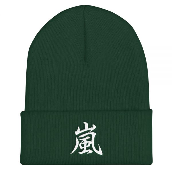 Japanese Kanji “Storm” Calligraphy Beanie – The Creative Conch
